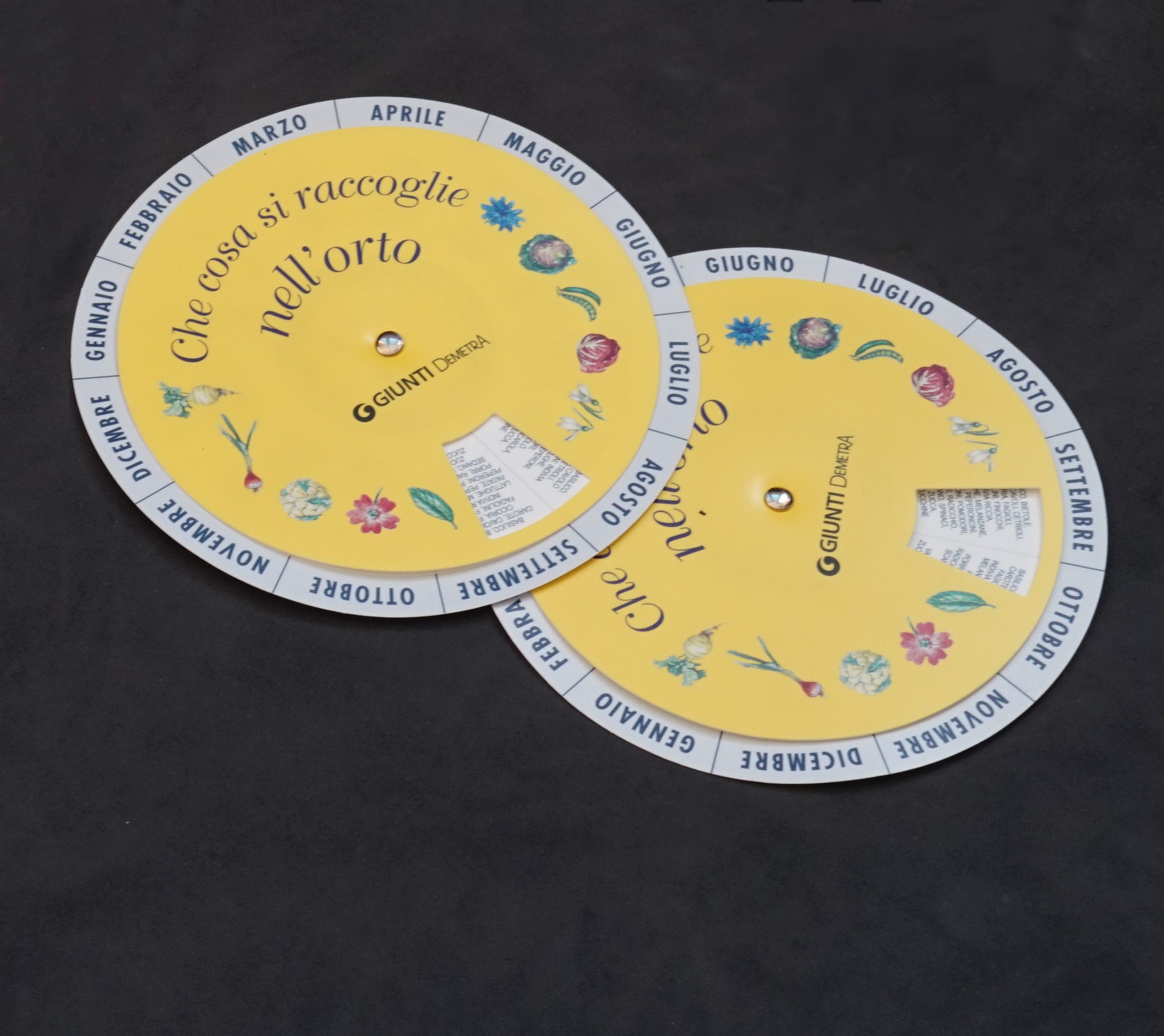 Pochette Document Santé et Échelle Éva, Reglette Ecg - Zeta Srl